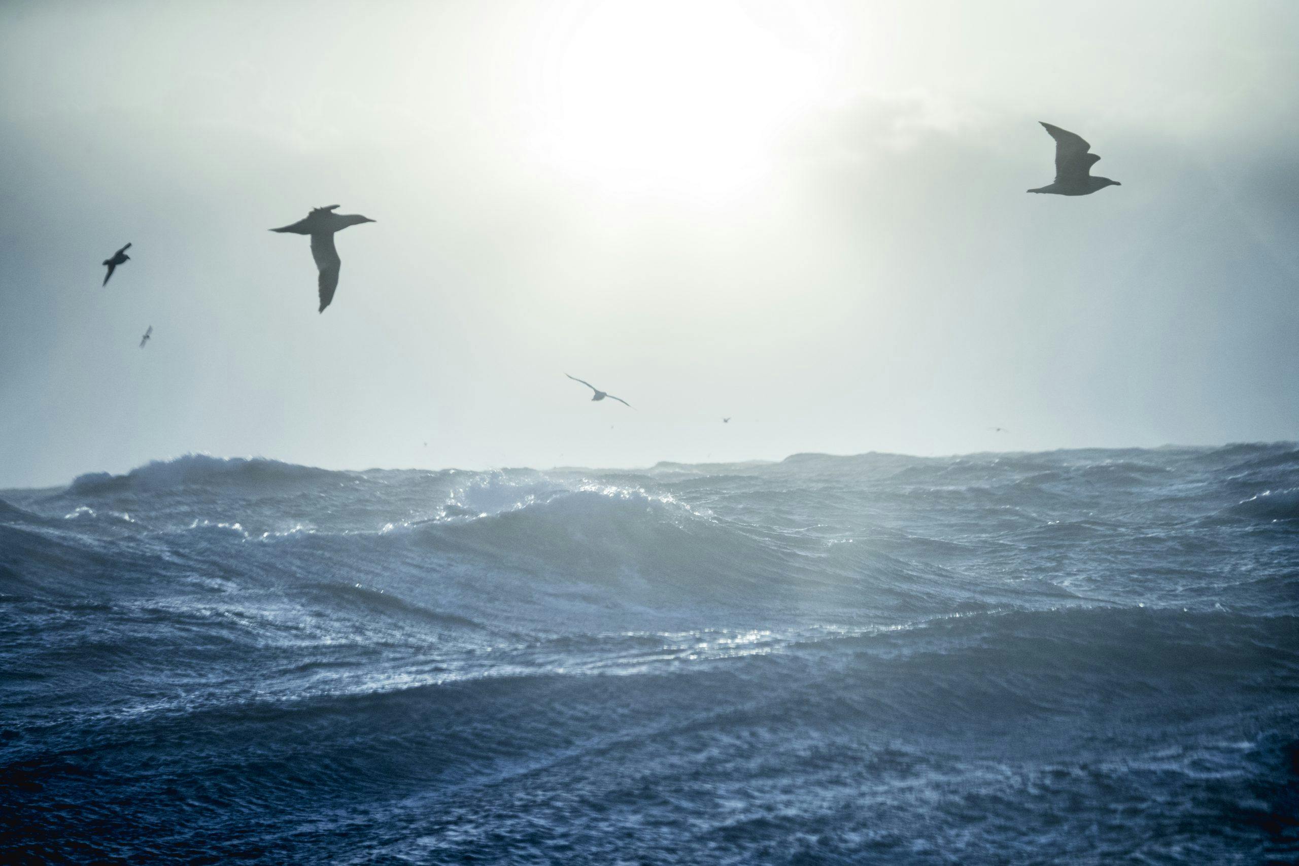 Alandia uppvisar ett förbättrat försäkringstekniskt resultat under 2022 ...